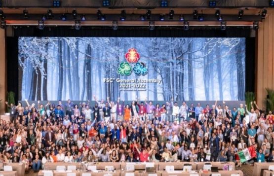 2021-2022 FSC 총회 리뷰 | Forest Stewardship Council