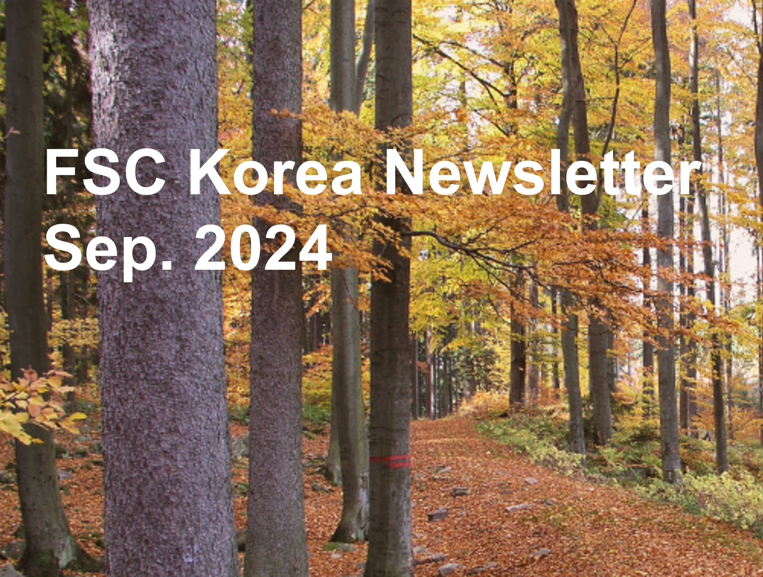 FSC Korea Newsletter Sep.2024 | Forest Stewardship Council
