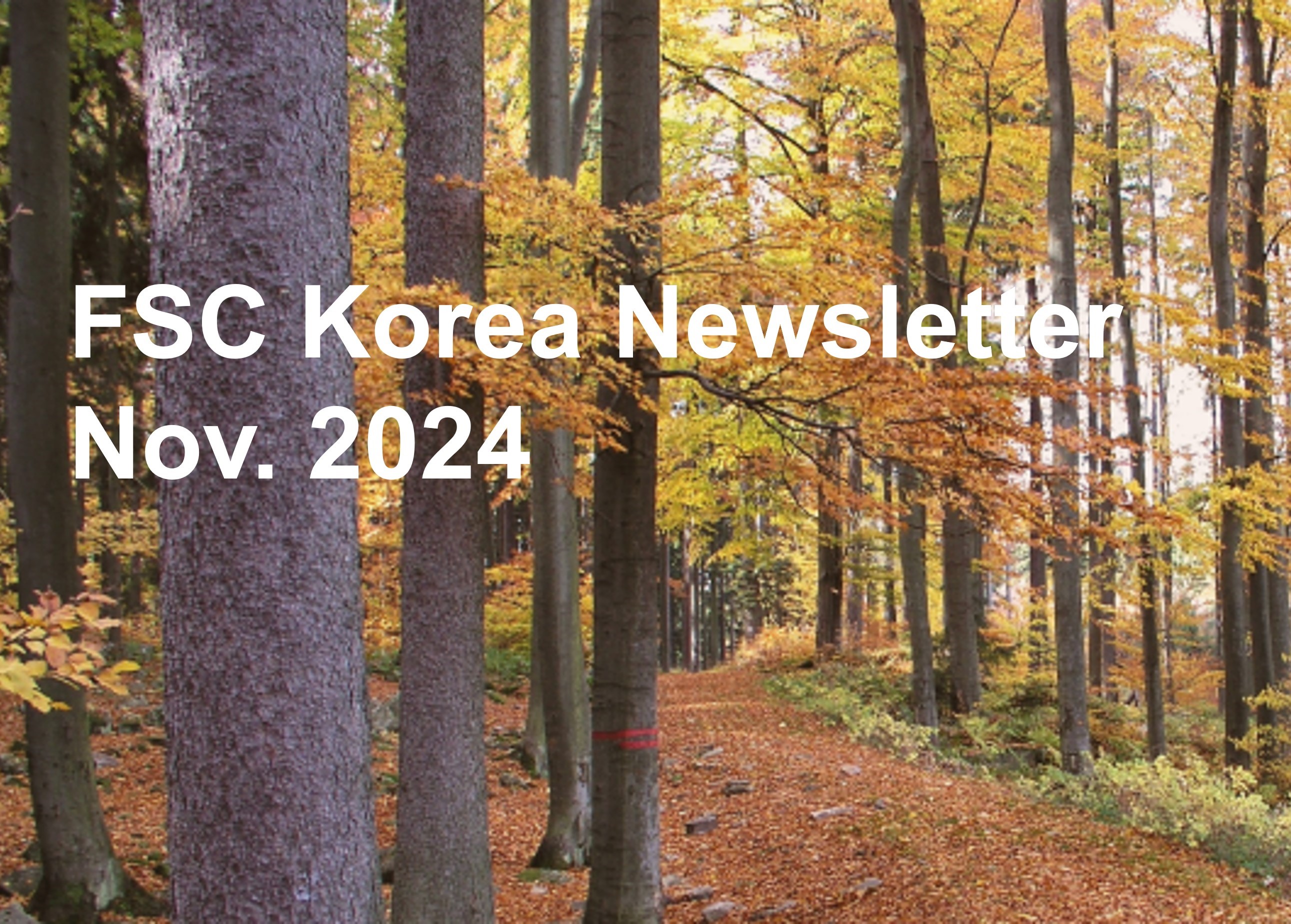 FSC Korea Newsletter Nov.2024 | Forest Stewardship Council